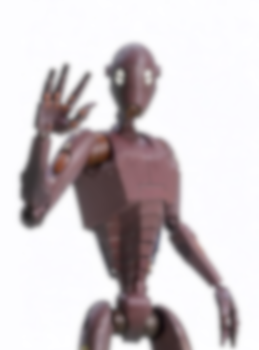 Hammer Robotics - Humanoid Robots for the Future