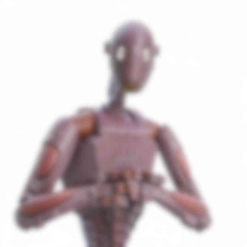 Hammer Robotics - Humanoid Robots for the Future